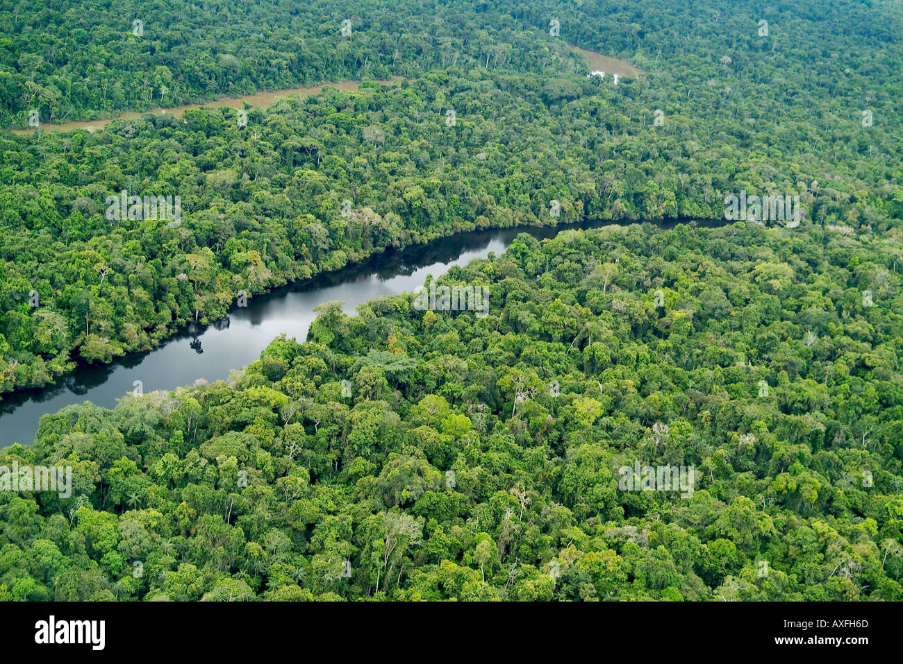 LAGO PRETO LAKE an oxbow lake in Lago Preto Conservation Concession ...