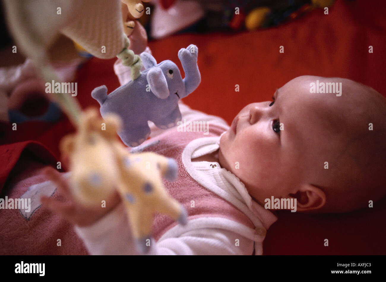 indoor flat child baby 0 5 soft toy toys play lie cot bed portrait ...