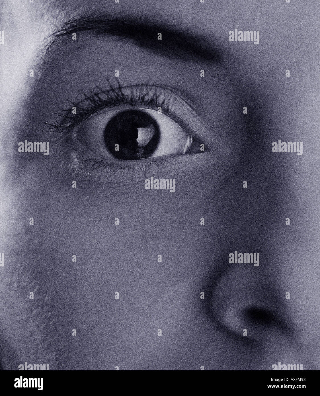 indoor studio close up fragment face woman girl young eye brow nose ...