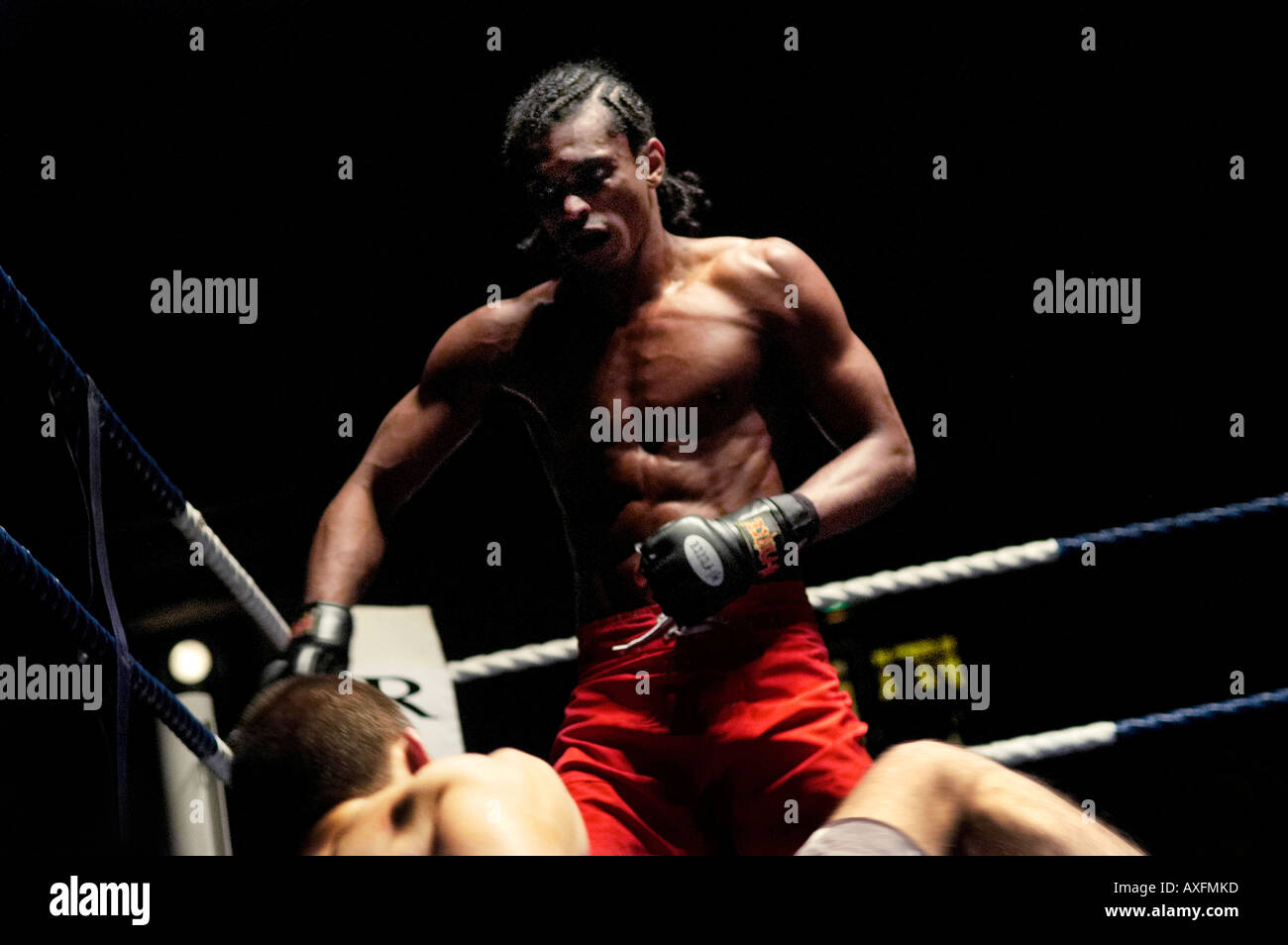 Ultimate Fighting is a mixed martial arts style of fighting Stock Photo ...