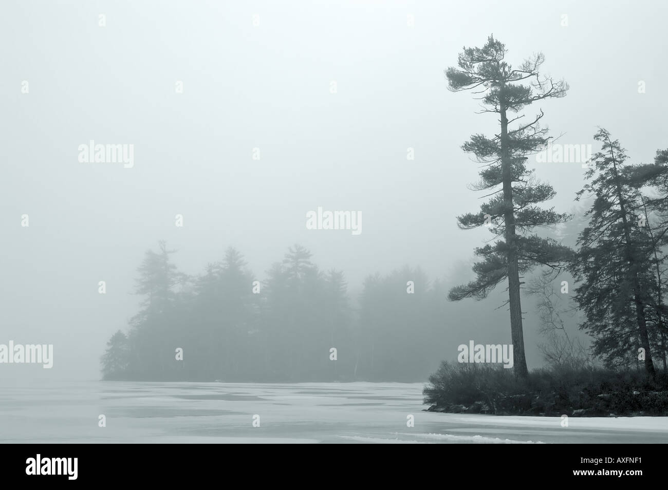 Freezing fog lake pond hi-res stock photography and images - Alamy