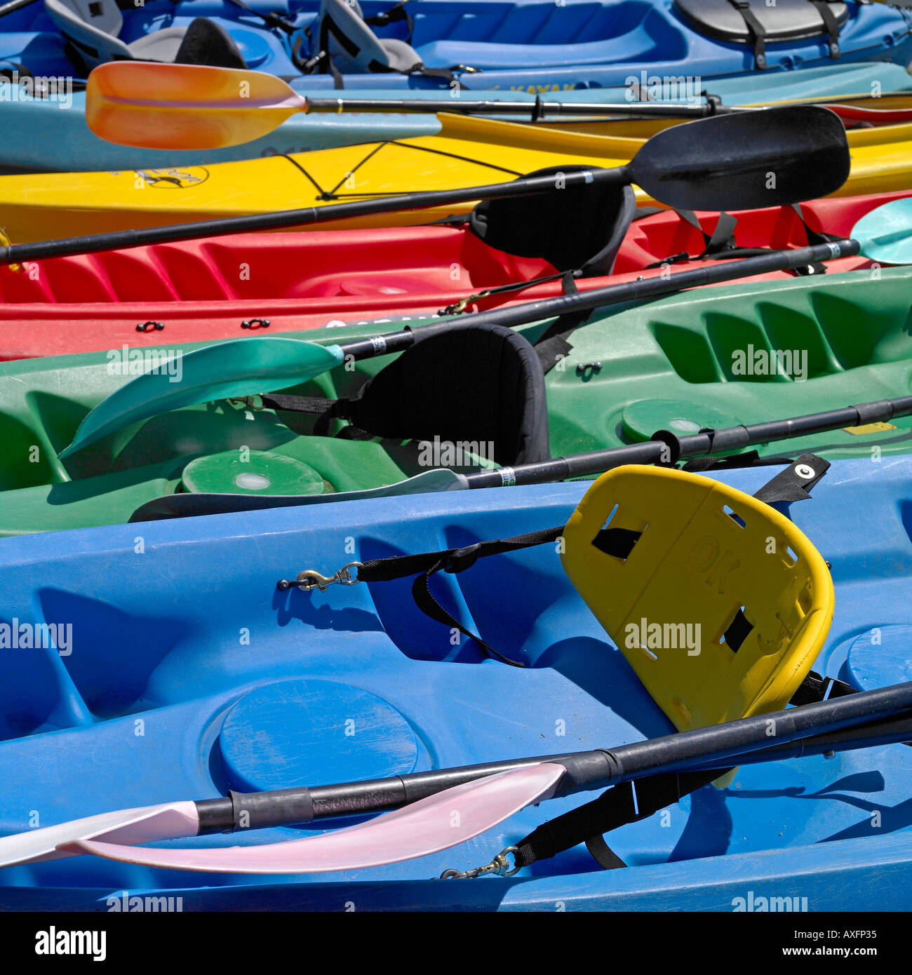 A row of bright kayaks Stock Photo - Alamy