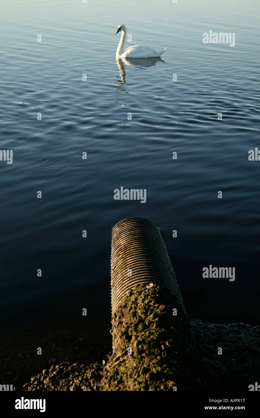 Swan pipe hi-res stock photography and images - Alamy