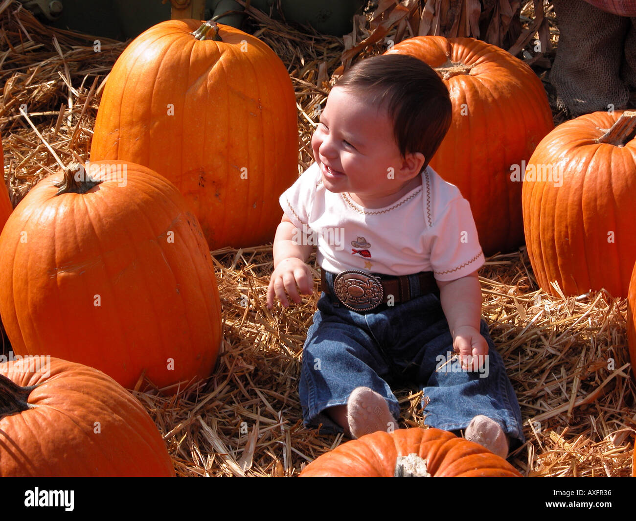 pumpkin patch kid Stock Photo - Alamy