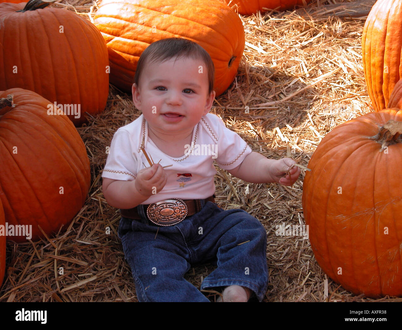 pumpkin patch kid Stock Photo - Alamy
