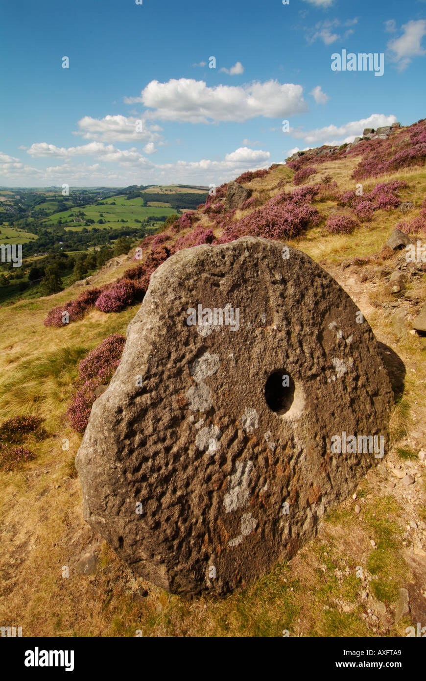 Bell Heather wheelstone and Gritstone rocks on Froggatt Edge near ...