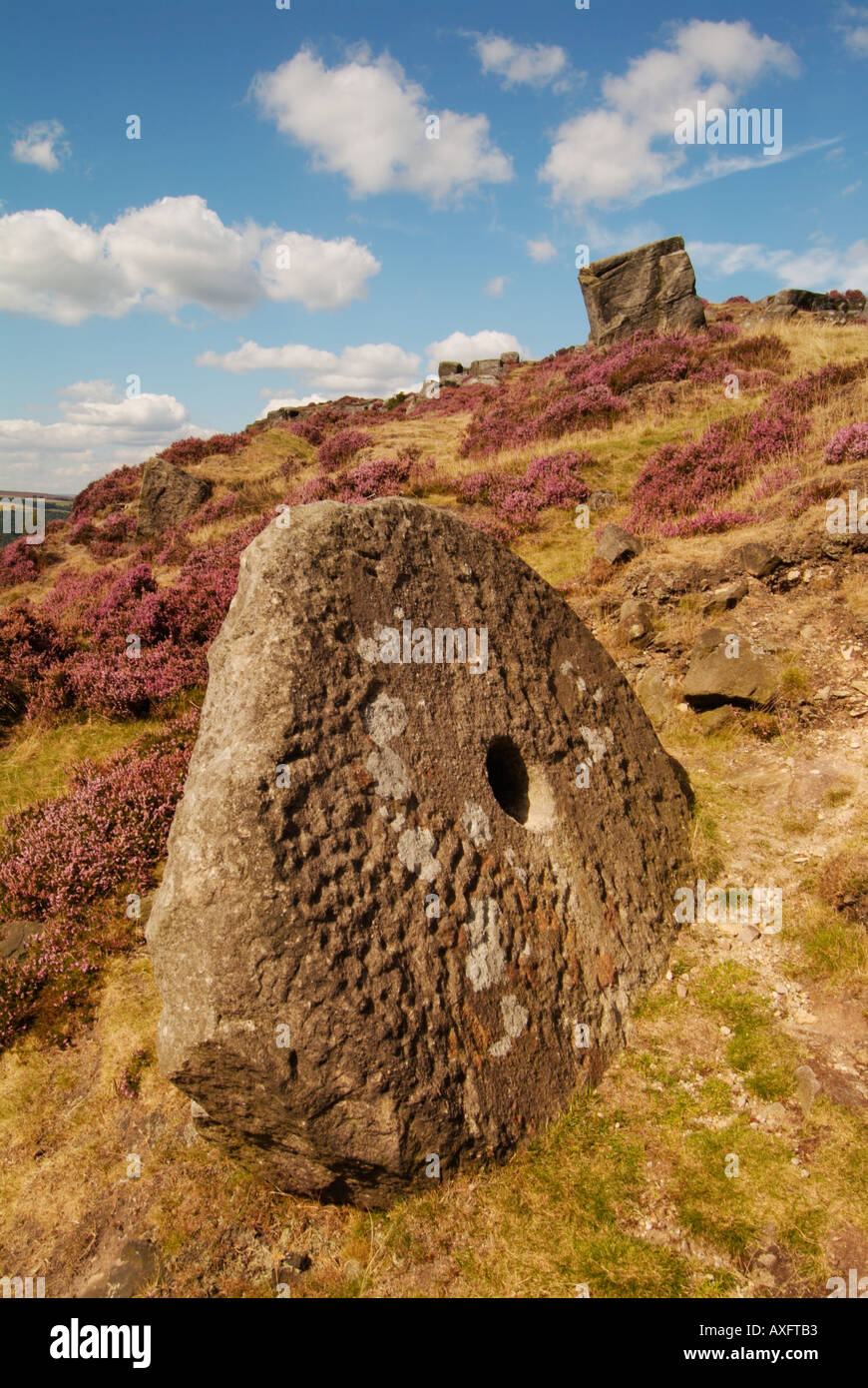 Bell Heather wheelstone and Gritstone rocks on Froggatt Edge near ...
