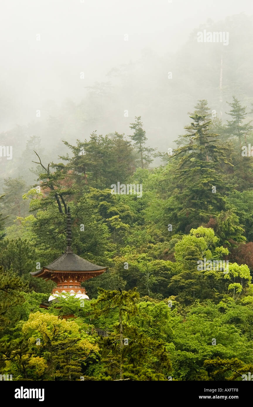 A traditional Japanese structure stands in the mist enshrouded trees of ...