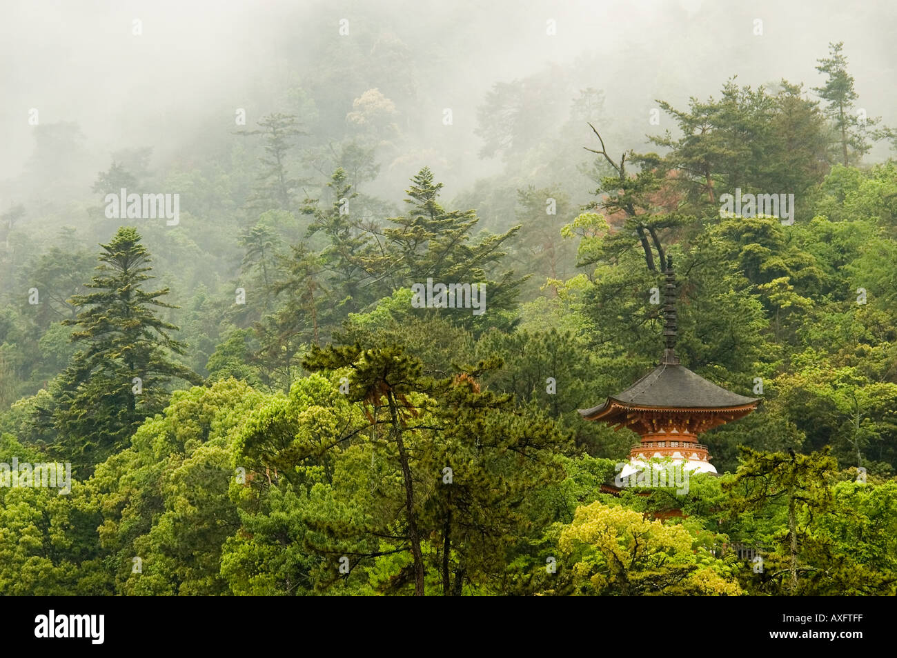 A traditional Japanese structure stands in the mist enshrouded trees of ...