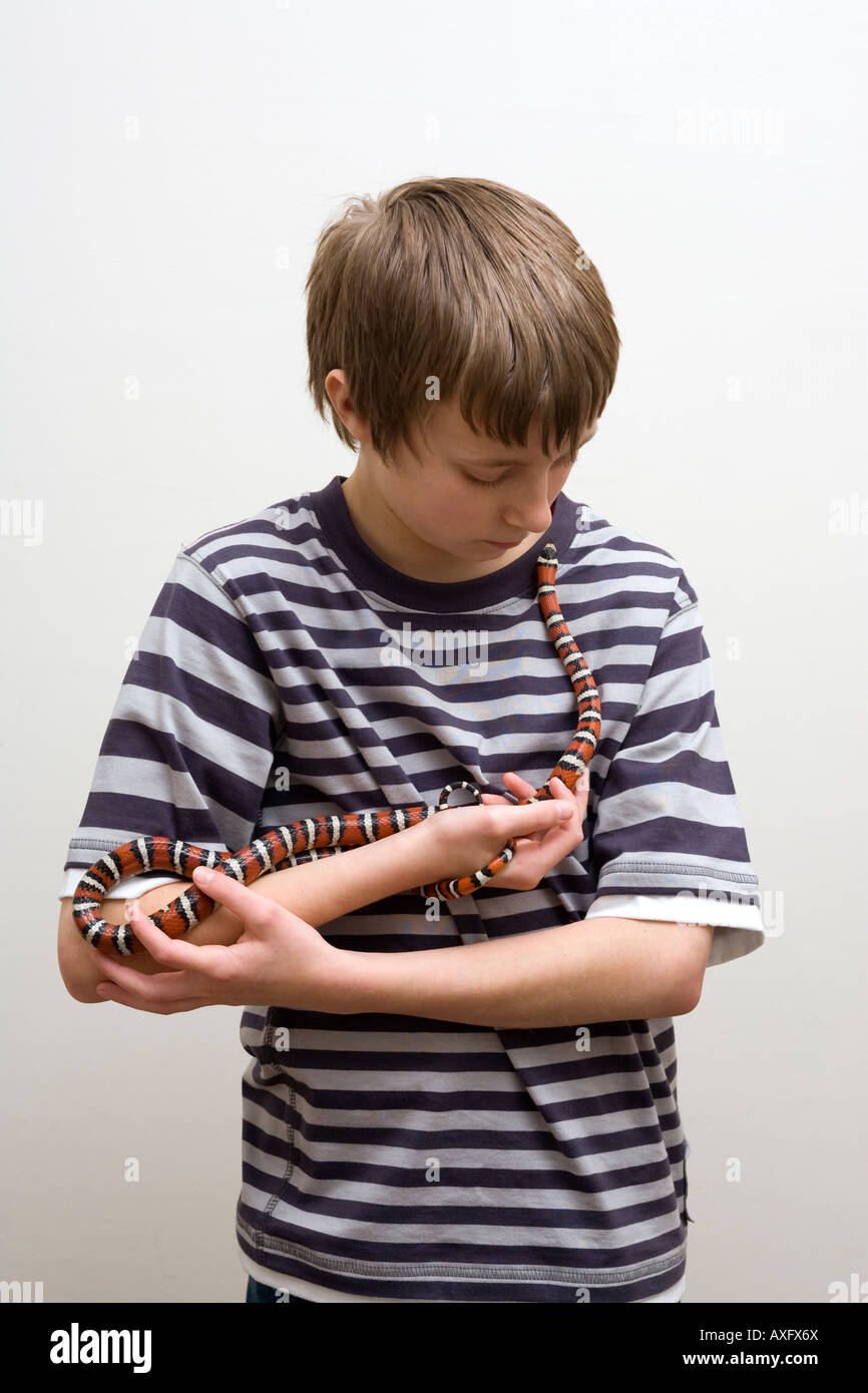 Boy holding pet snake Stock Photo - Alamy