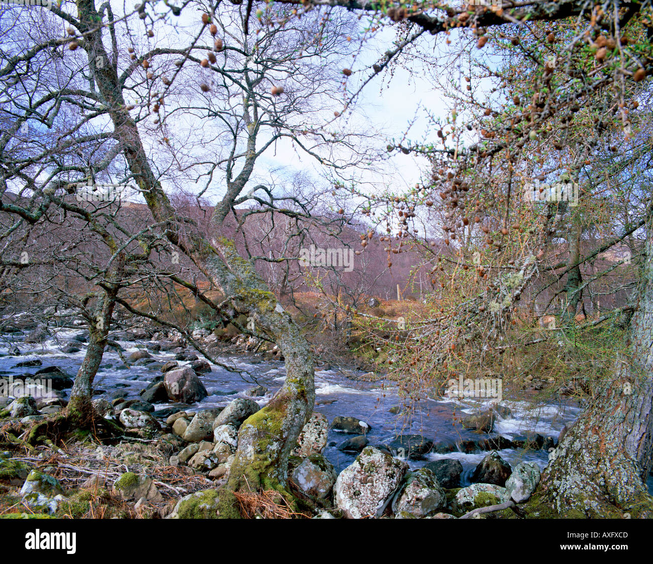 Ben eighe reserve hi-res stock photography and images - Alamy