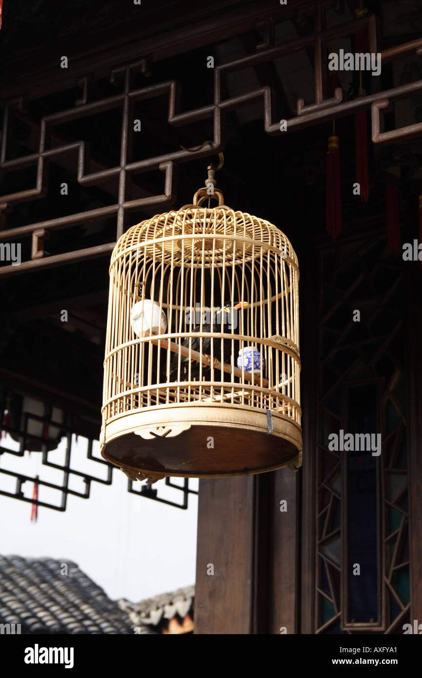 Magpie bird cage hi-res stock photography and images - Alamy