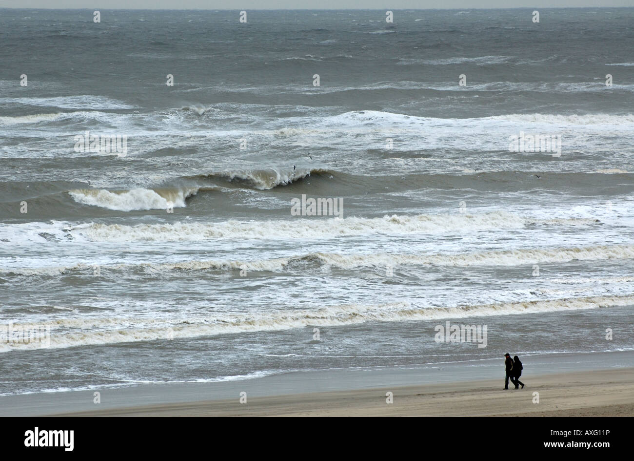 two people on beach in severe weather conditions Stock Photo - Alamy