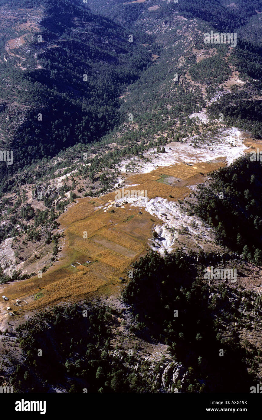 Mexico. Small farms mostly growing corn in the high Sierra Tarahumara ...