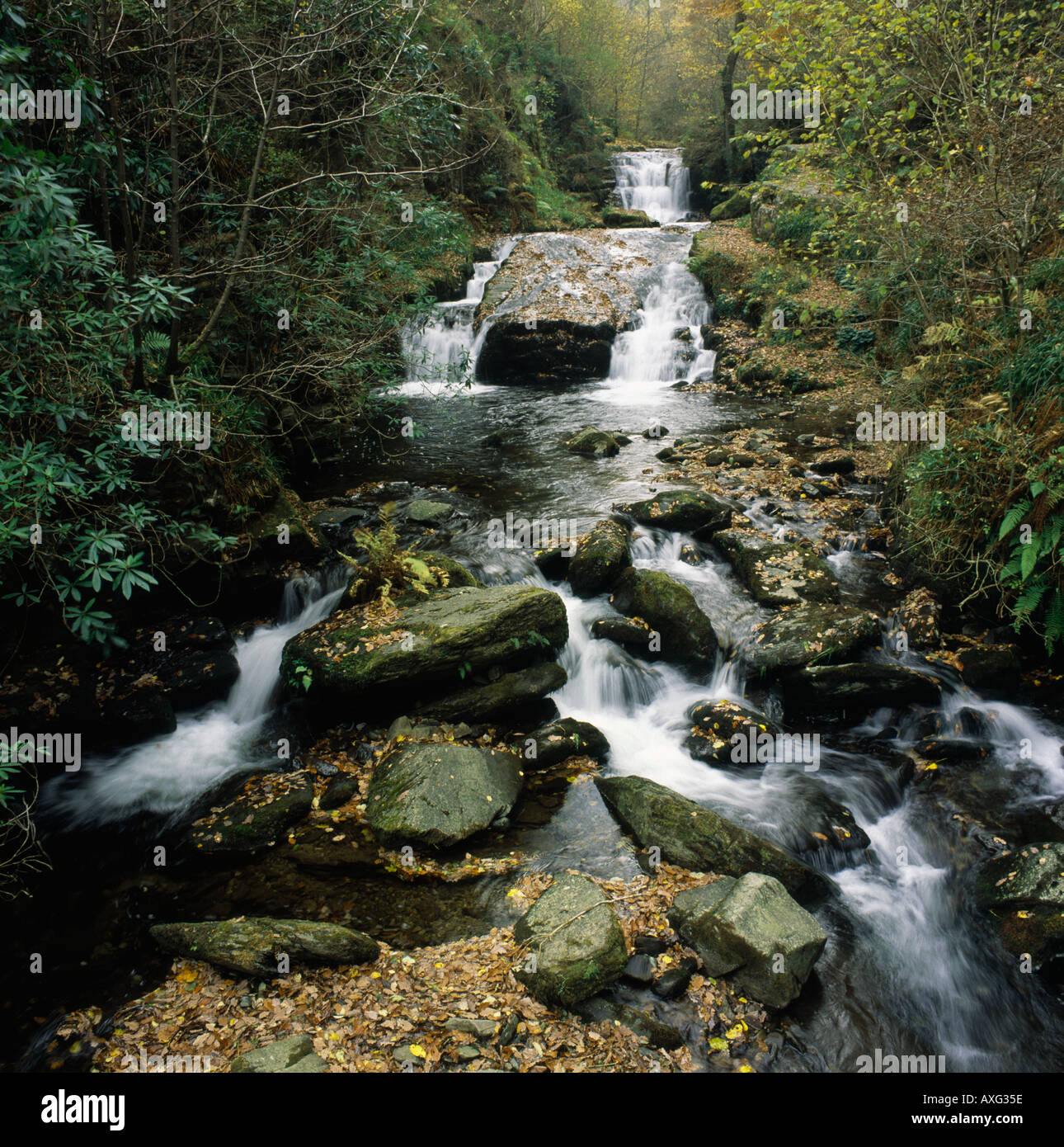 Watersmeet waterfall in devon britain hi-res stock photography and ...