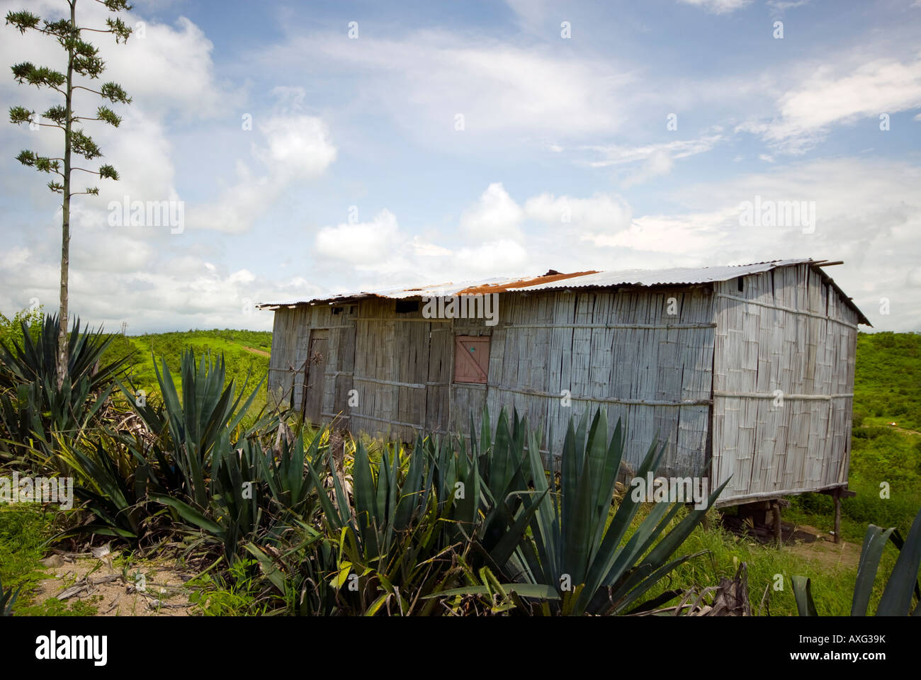 typical native house pacific coast ruta del sol ecuador south america ...