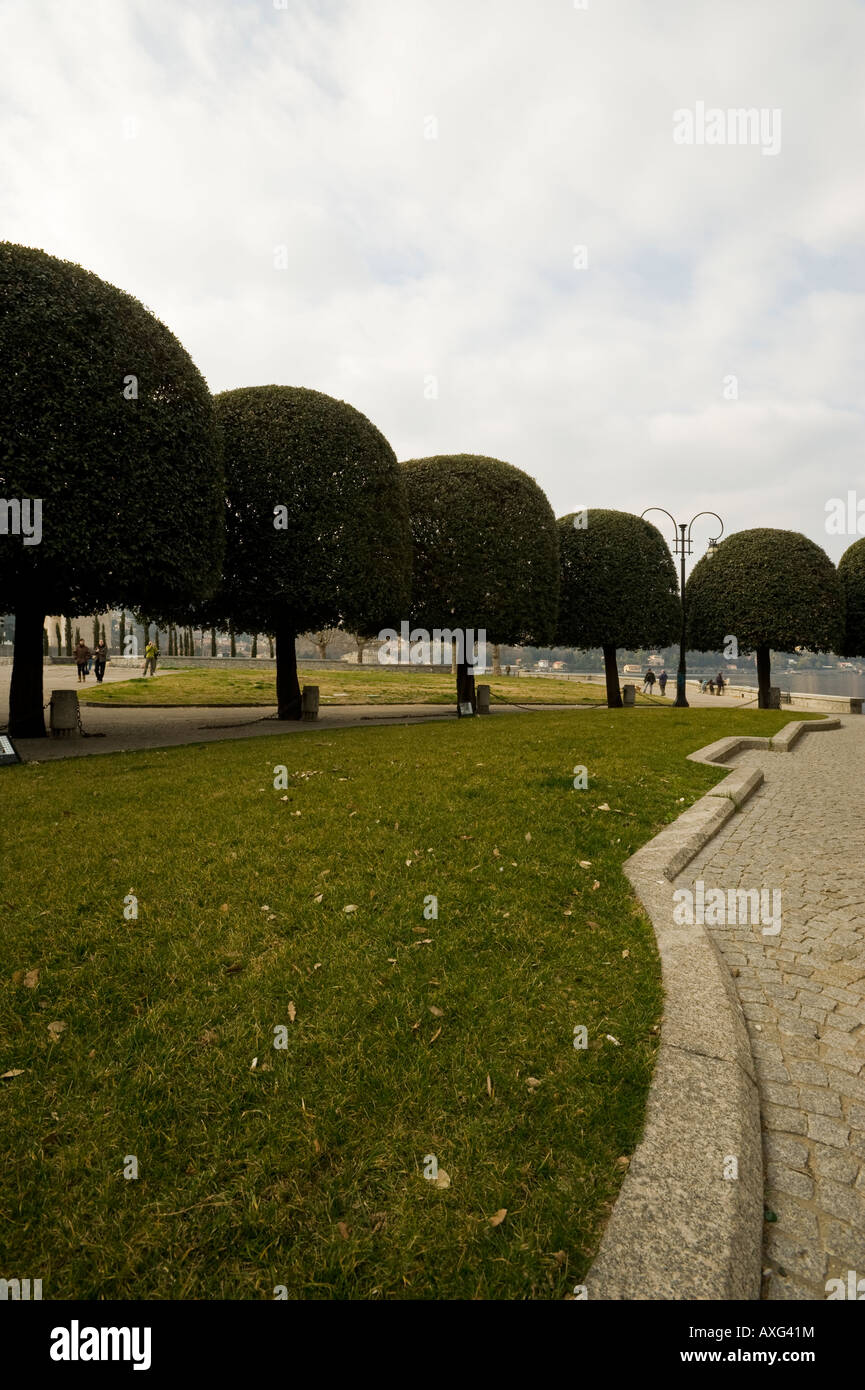 Manicured trees hi-res stock photography and images - Alamy