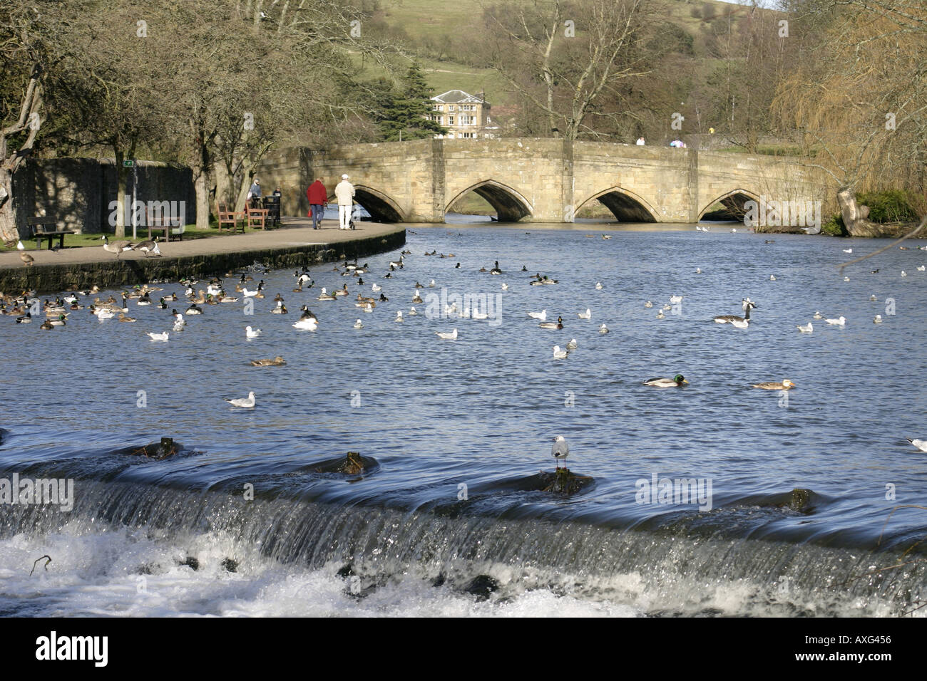 Bridge over the River Wye Bakewell Derbyshire UK Stock Photo - Alamy