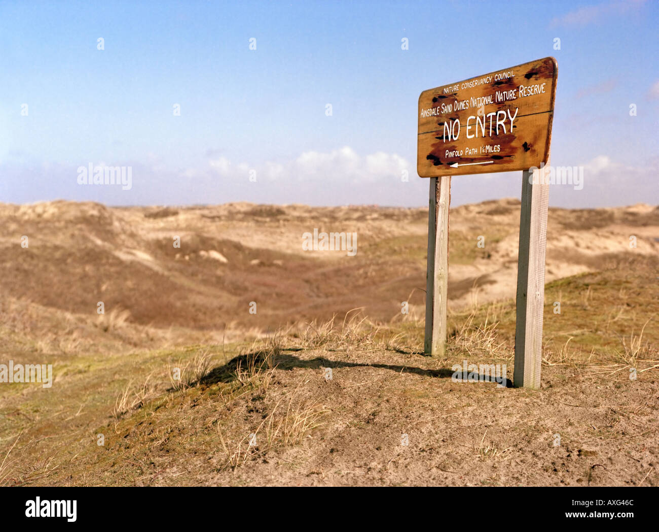Ainsdale sand dunes national nature reserve Formby Lancashire Stock ...