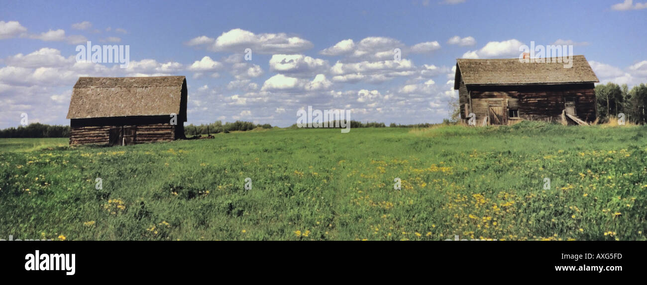 Weathered farm buildings abandoned on the prairie Northwestern Alberta ...