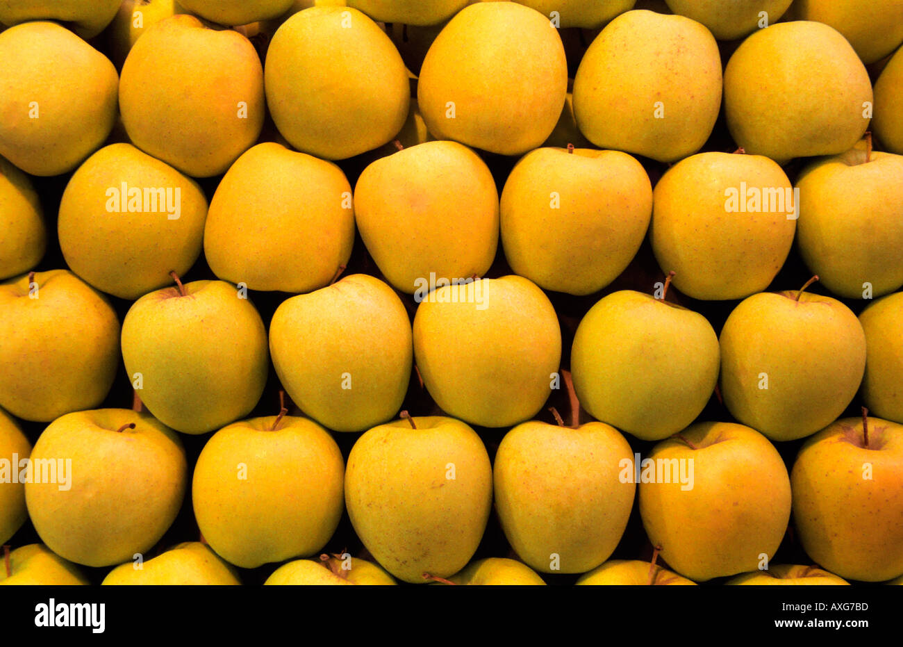 ‘golden delicious’ apple hi-res stock photography and images - Alamy
