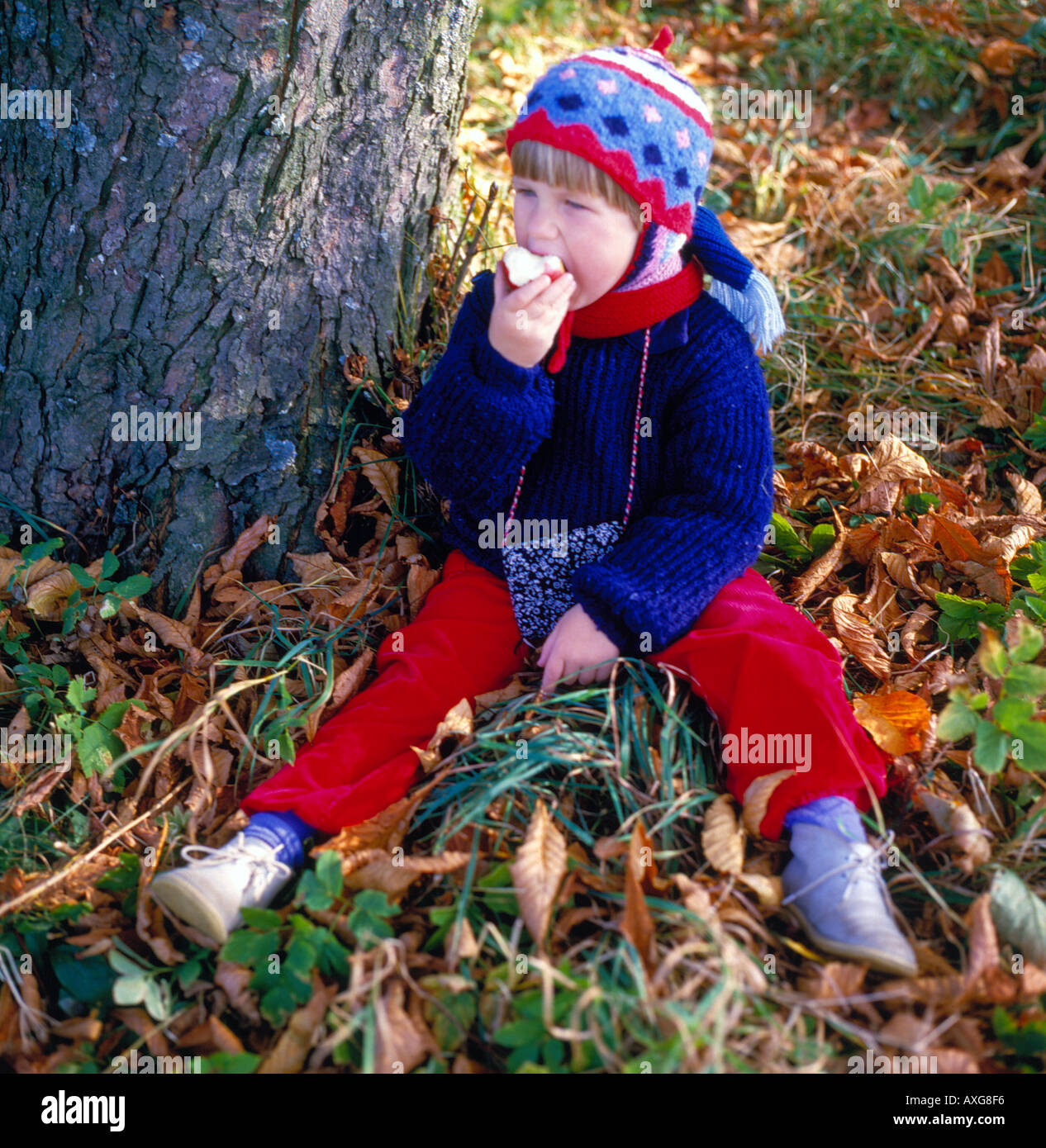 child eating an apple, outside in garden under a tree. Photo by Willy ...