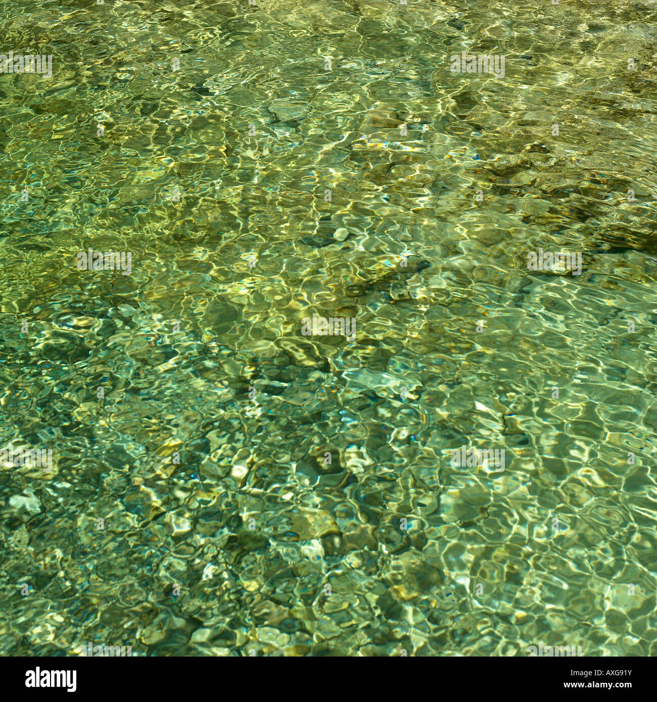Melissa water hi-res stock photography and images - Alamy