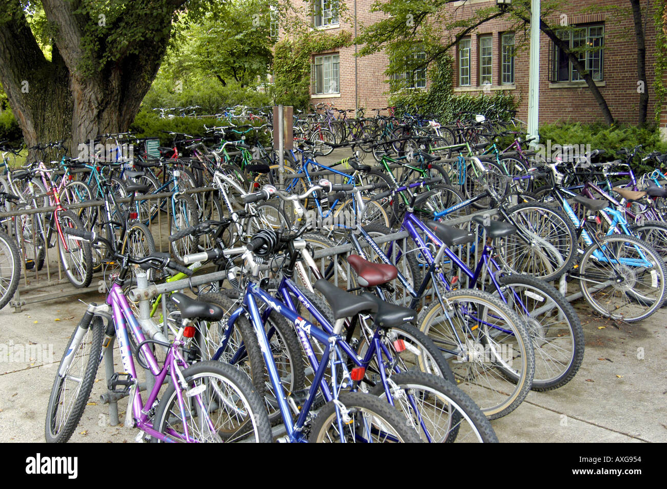 Michigan State University campus activities at East Lansing Michigan ...