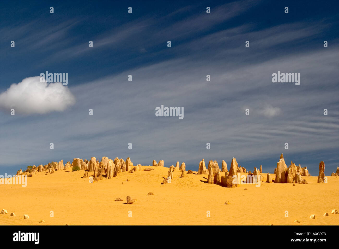 Limestone spires desert rocks hi-res stock photography and images - Alamy