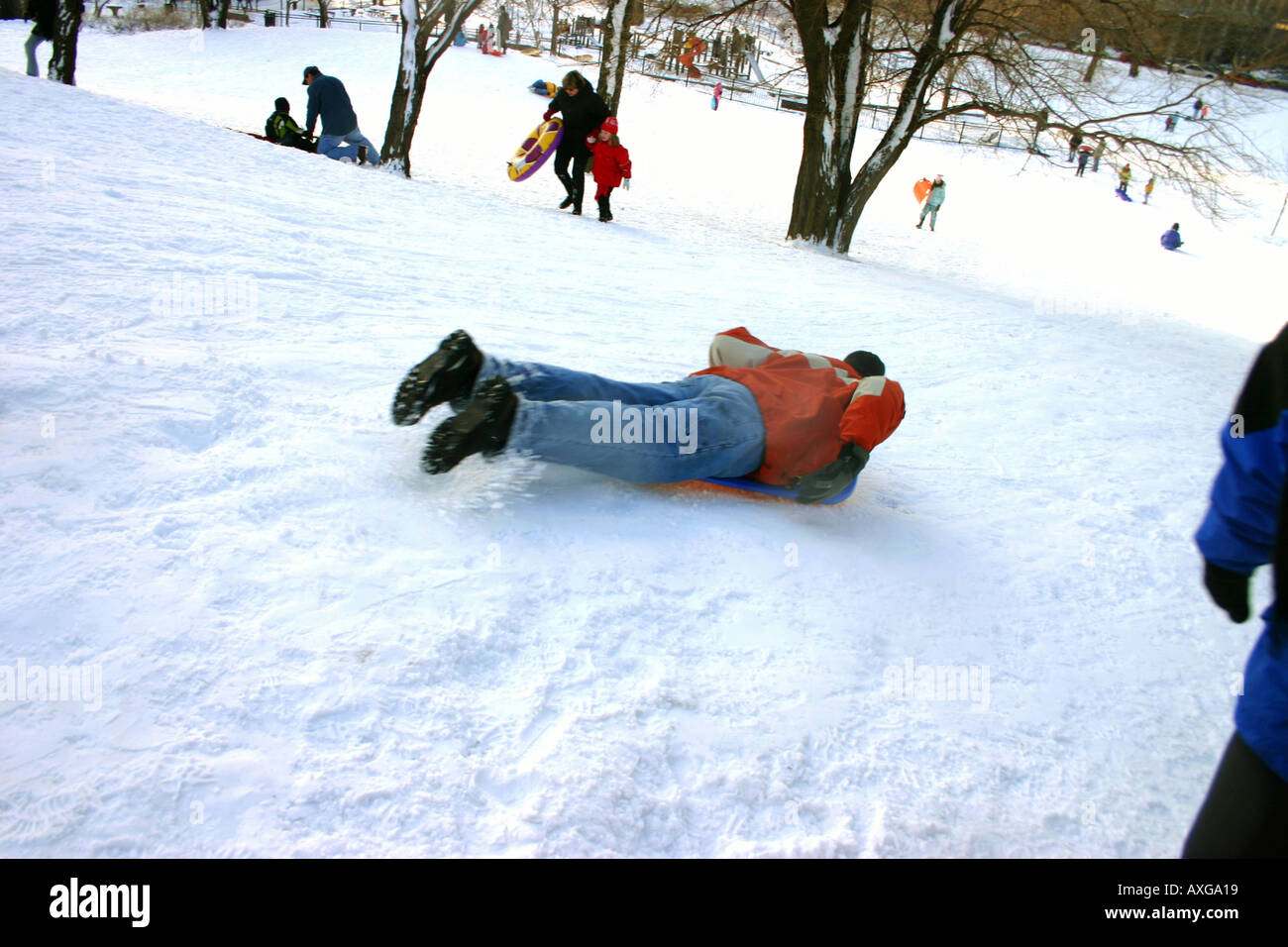 Man sledding on his stomach Lincoln Park Chicago Illinois Stock Photo ...