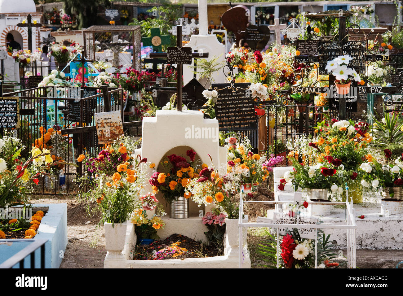 Cemetery Decorated for Day of the Dead, San Miguel de Allende, Mexico ...