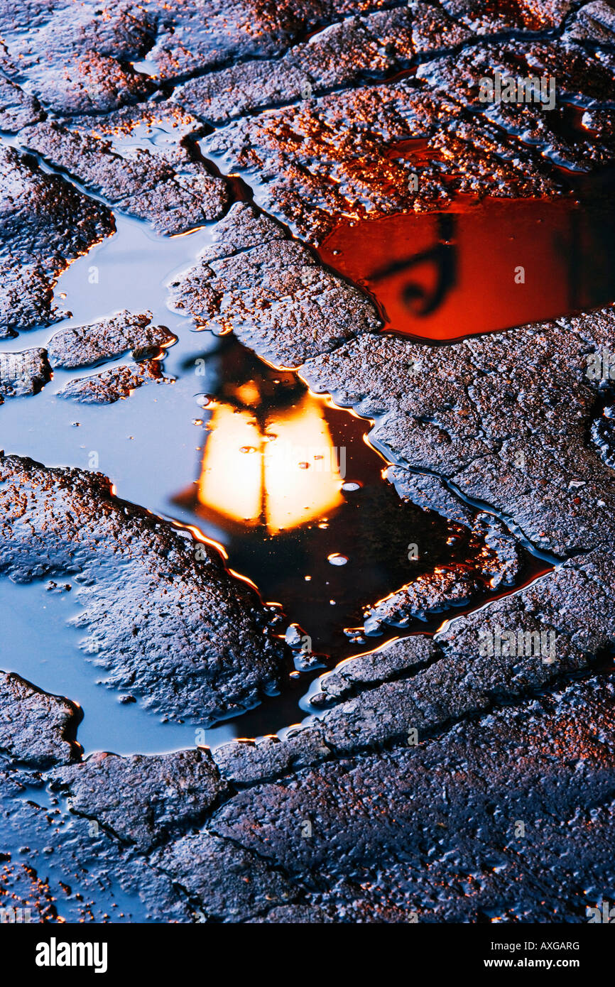 Reflection in Puddle Stock Photo - Alamy