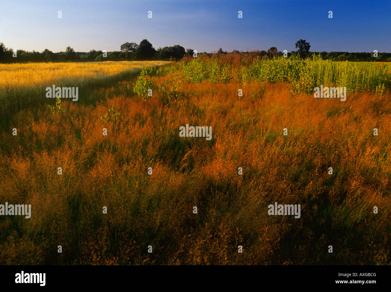 Polish Poland landscape scenery Stock Photo - Alamy