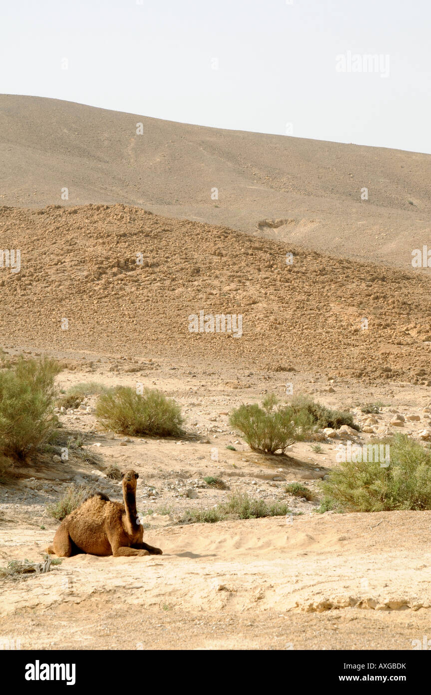 Desert and semi arid region bordering the great rift valley hi-res ...