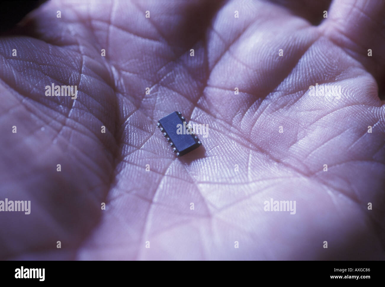 All the power of a computer chip rests in the palm of your hand Stock ...