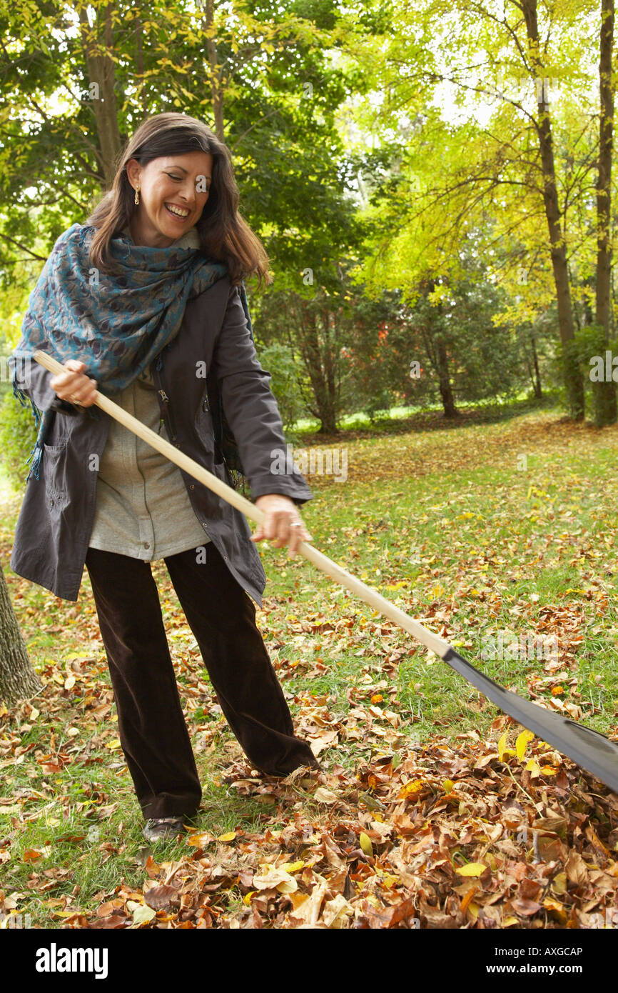 Tooth rake hi-res stock photography and images - Alamy