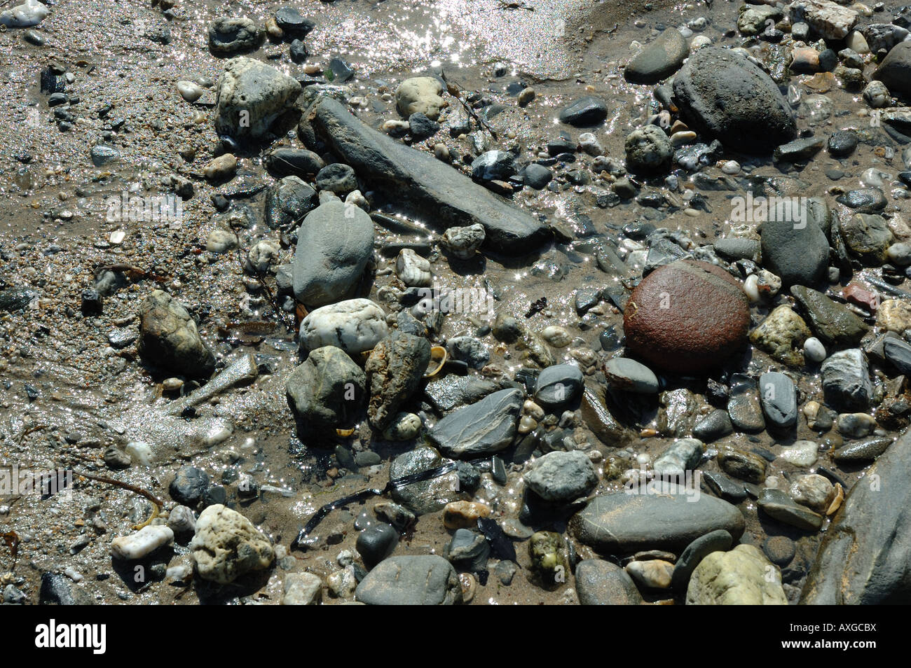 Stones on a beach Stock Photo - Alamy