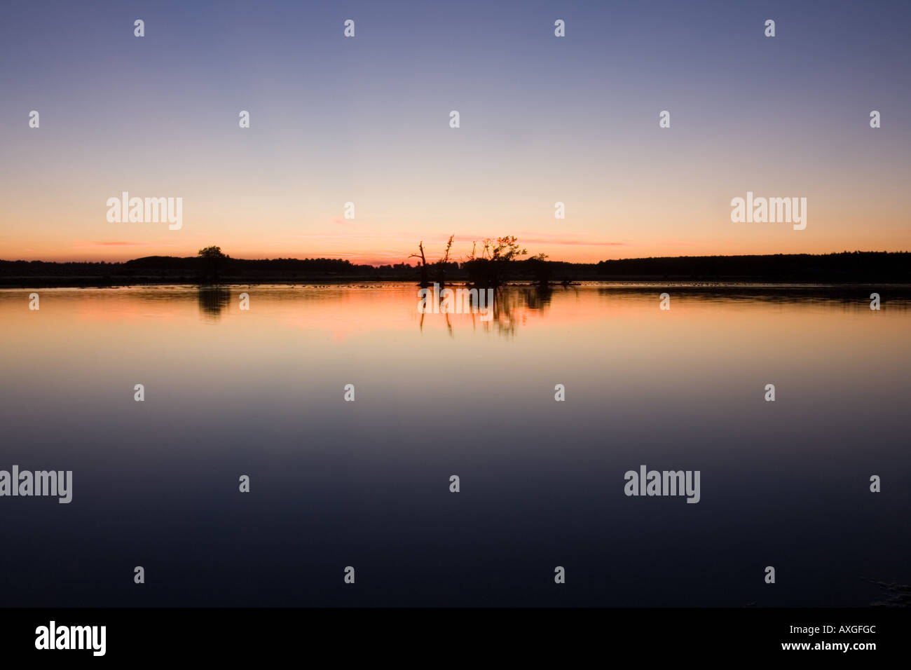 the lake at Great Livermere, Suffolk, UK after sunset Stock Photo - Alamy