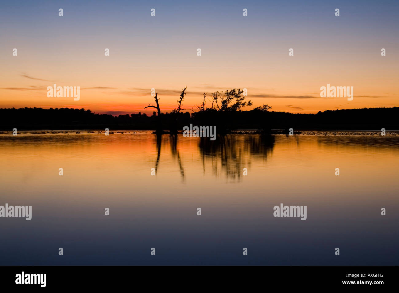 Suffolk landscape moody hi-res stock photography and images - Alamy