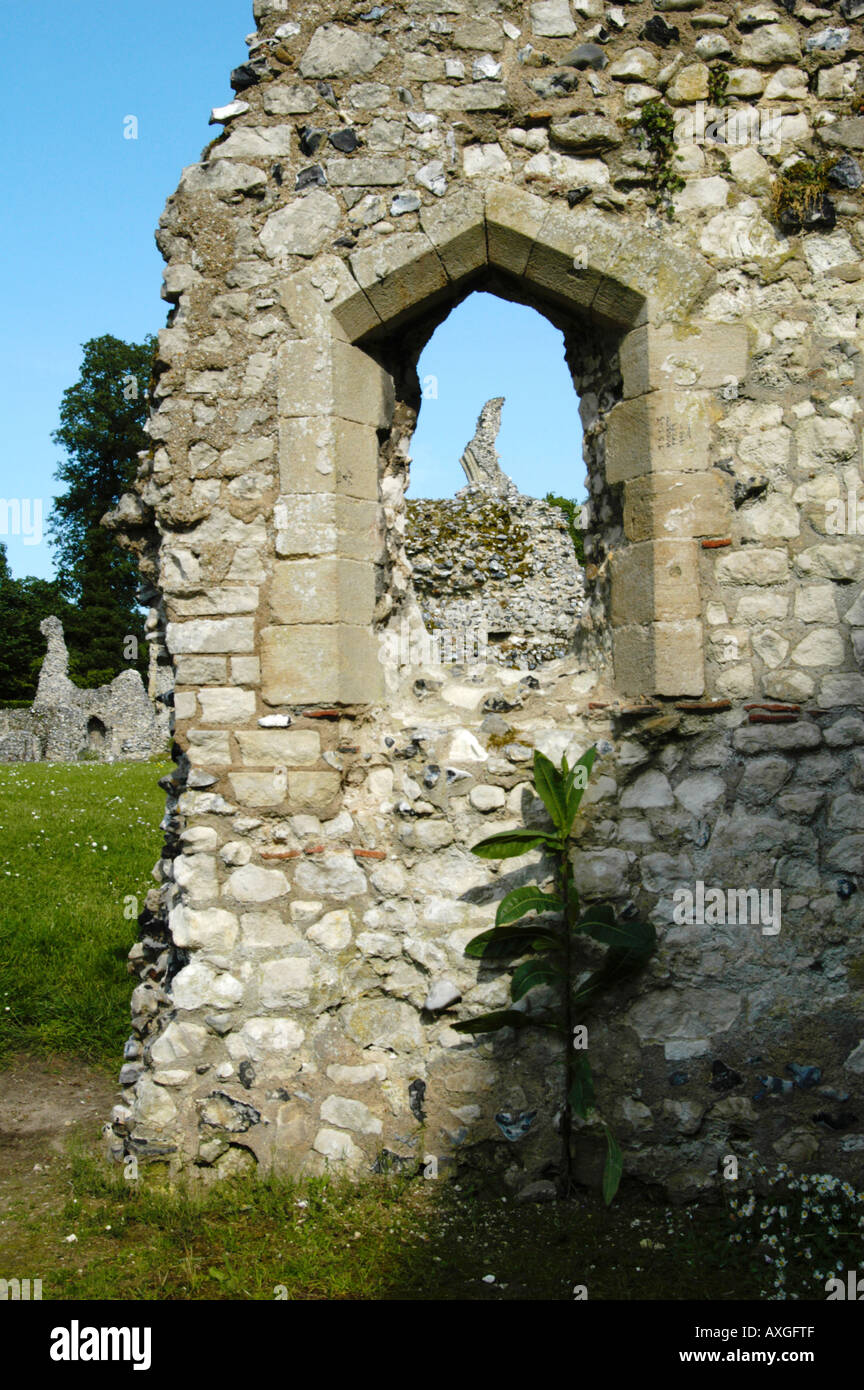 Cluniac priory hi-res stock photography and images - Alamy