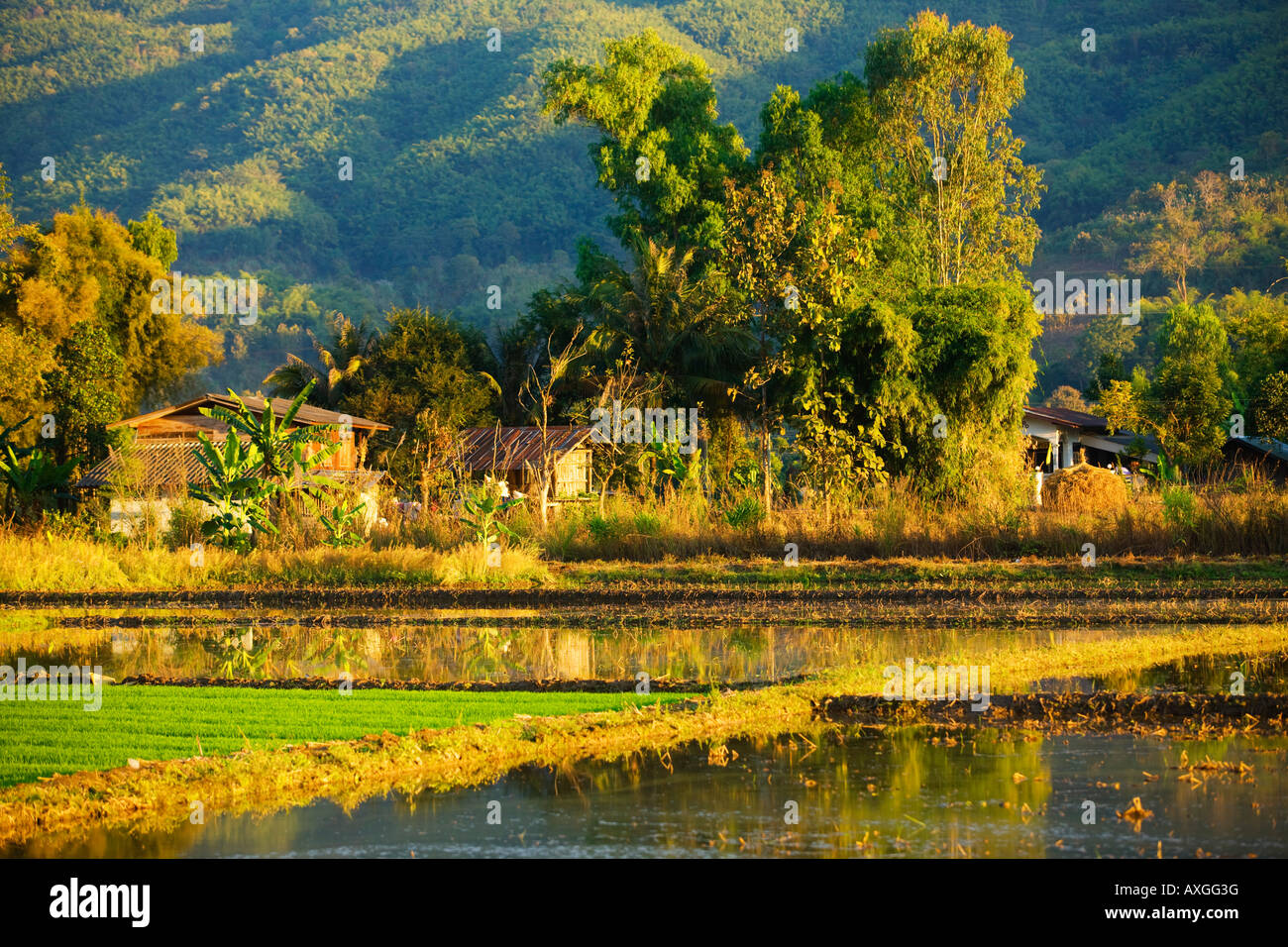 landscape near chiang rai in north thailand Stock Photo - Alamy