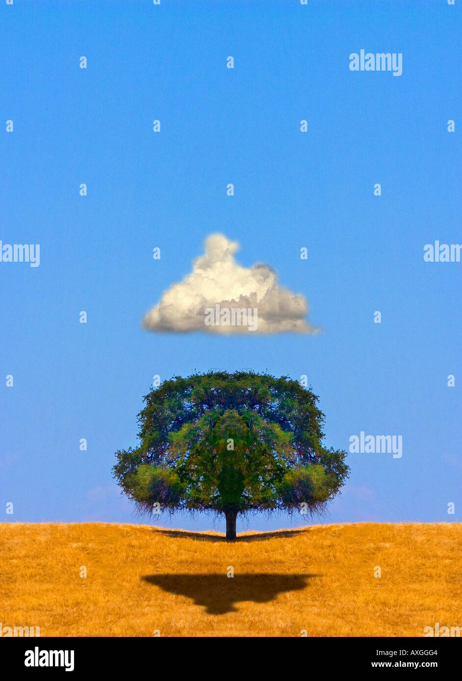 Blue sky, green tree & cloud Stock Photo - Alamy