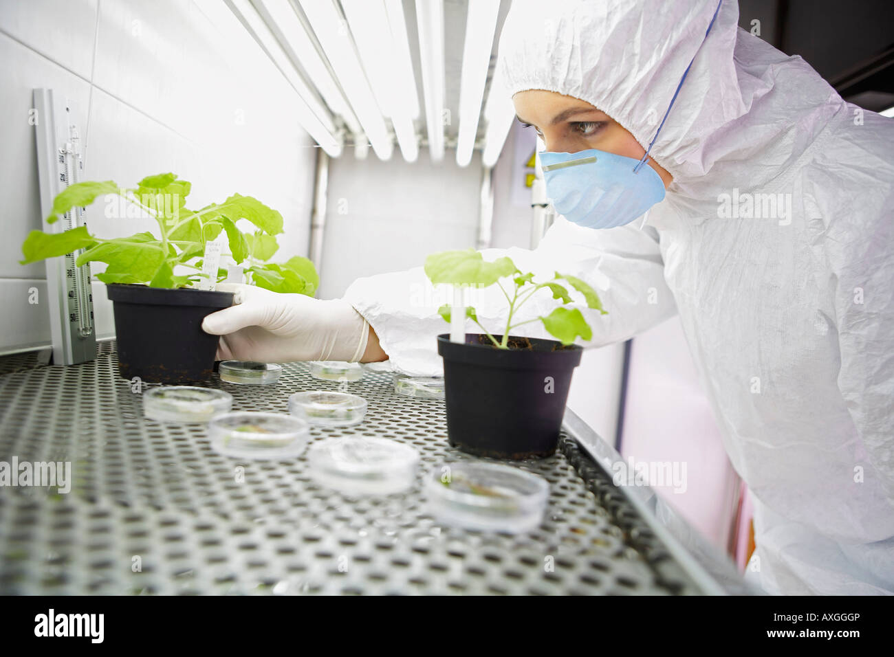 Technical Plants High Resolution Stock Photography and Images - Alamy