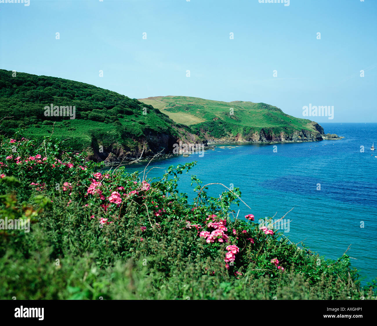 Coastal Scenery Hope Cove Devon England UK Stock Photo - Alamy