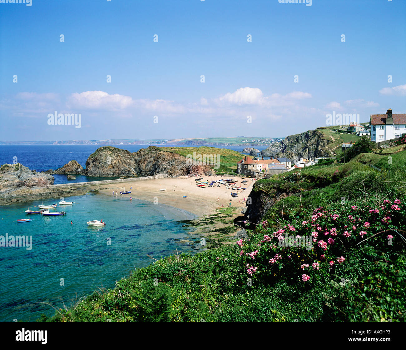 Hope cove devon sunny hi-res stock photography and images - Alamy