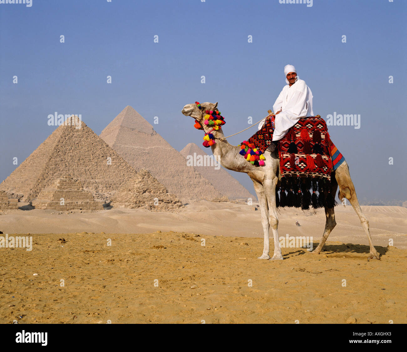 Camel and guide in front of the Pyramids, Giza, Cairo, Egypt, North ...