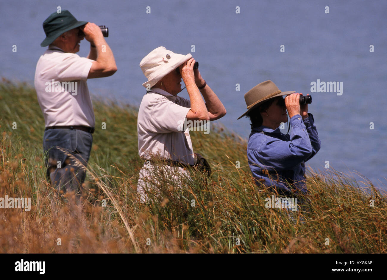 Bird watchers, Australia Stock Photo - Alamy