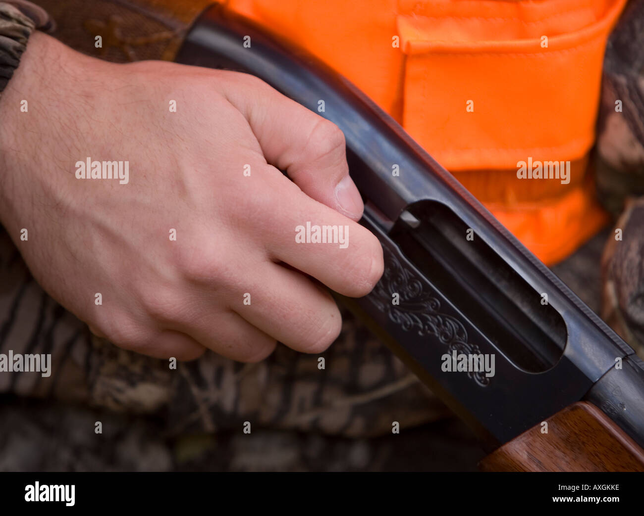 Hunter loading his shotgun Stock Photo - Alamy