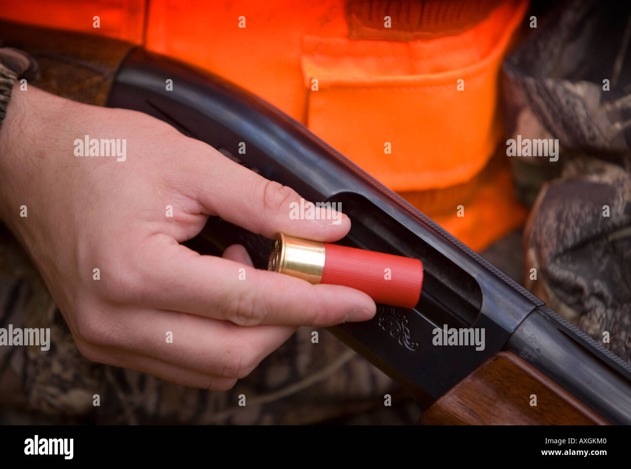 Hunter loading his shotgun Stock Photo - Alamy