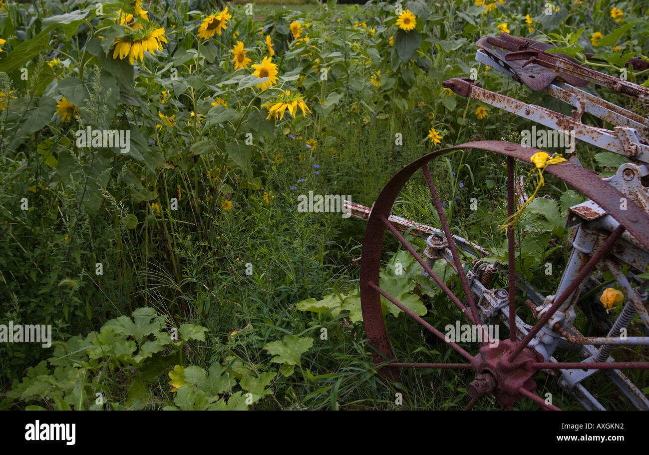 Wheel of an old farm machine Stock Photo - Alamy